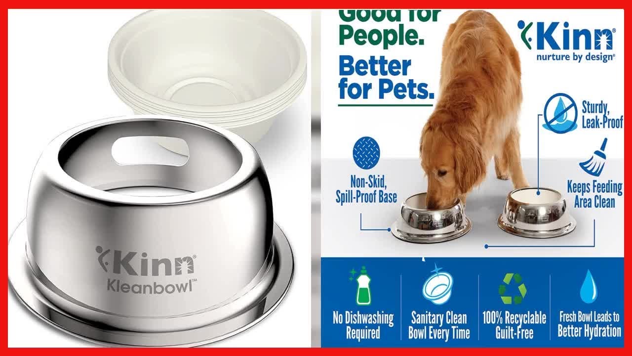 Kinn Disposable Cat Bowls, Dog Bowls for Food and Water, Compostable ...