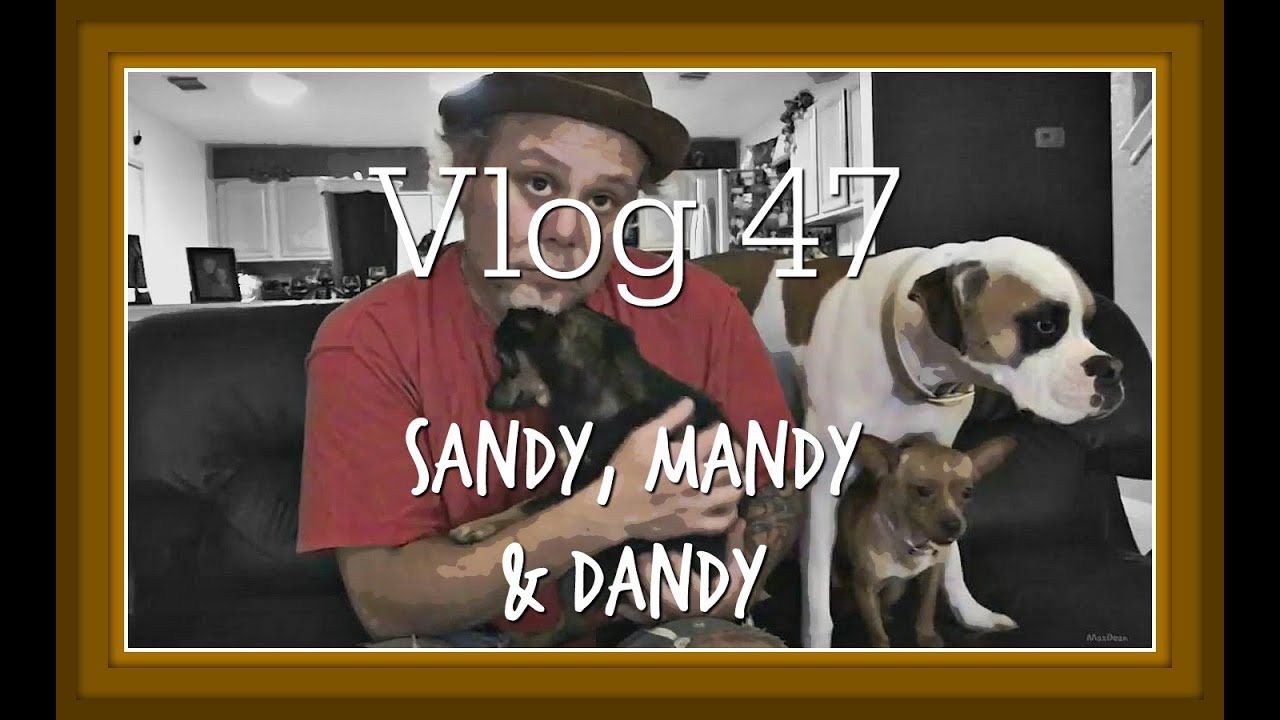 Vlog 47: Sandy, Mandy & Dandy - YouTube