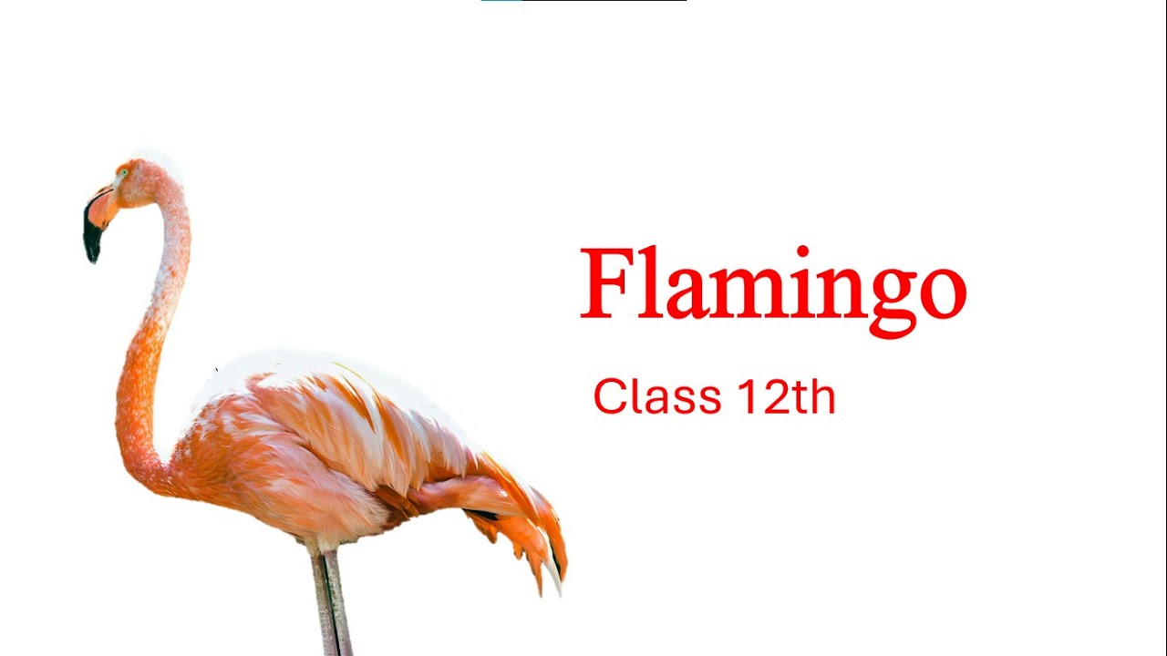 8. Going Places | Class 12th | Flamingo (English) - YouTube