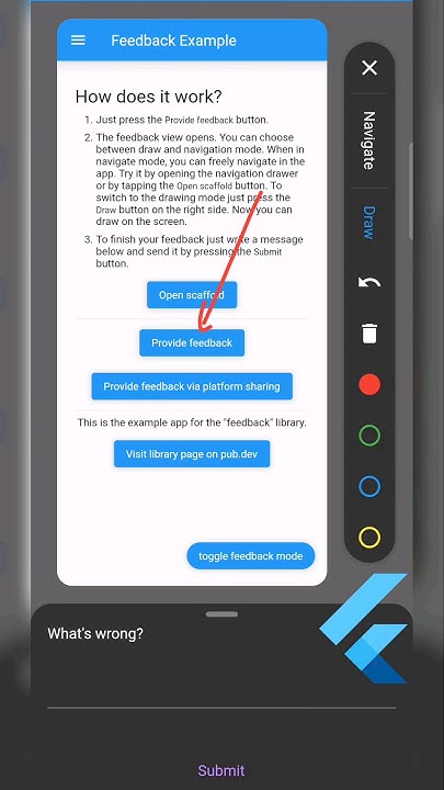 Collect Feedback in Flutter App - YouTube