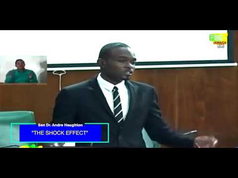 Dr Andre Haughton Speaks in the Senate about the State of Public ...