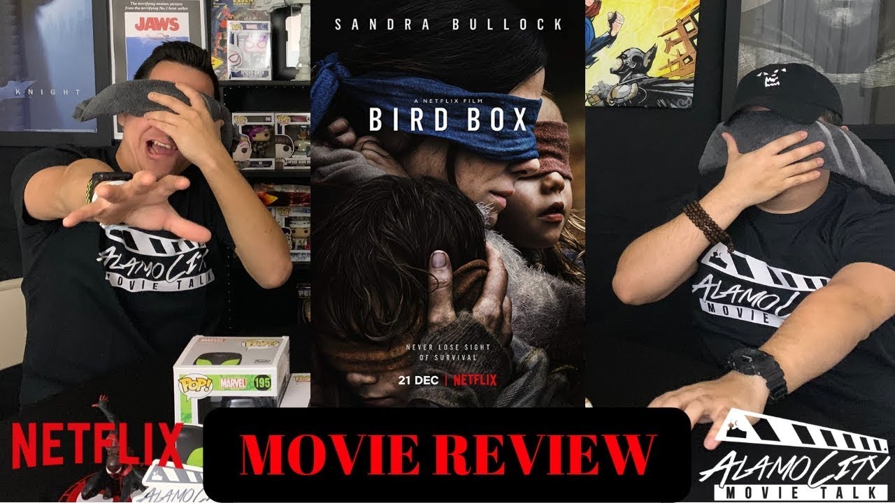 Bird Box Netflix Review - YouTube