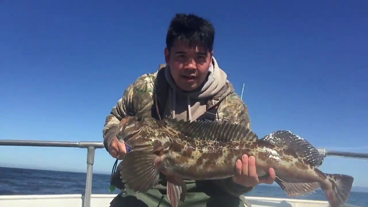 How to catch Lingcod & Rockcod on Monterey Party Boats! - YouTube