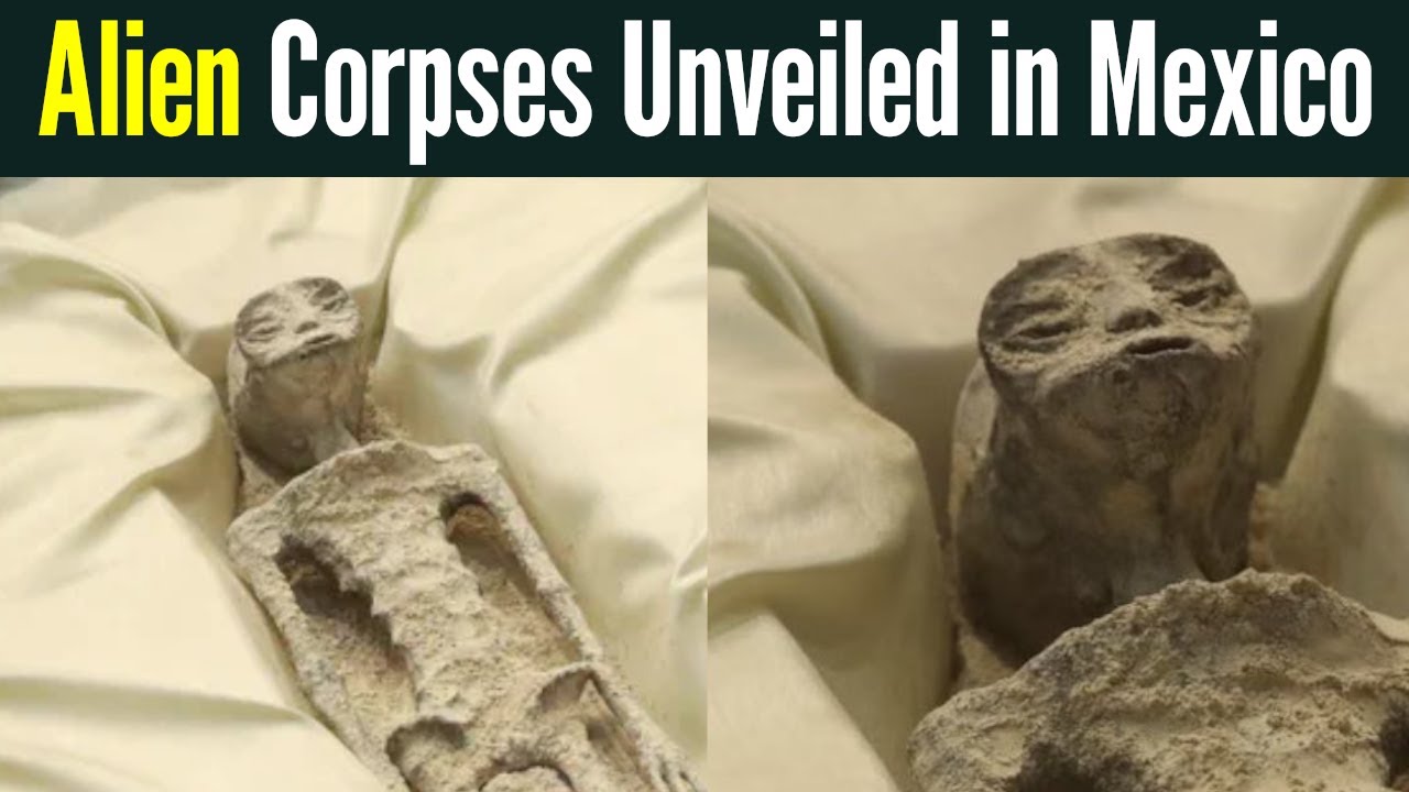 Two Alleged Alien Corpses Unveiled in Mexico by ufologist Jaime Maussan ...