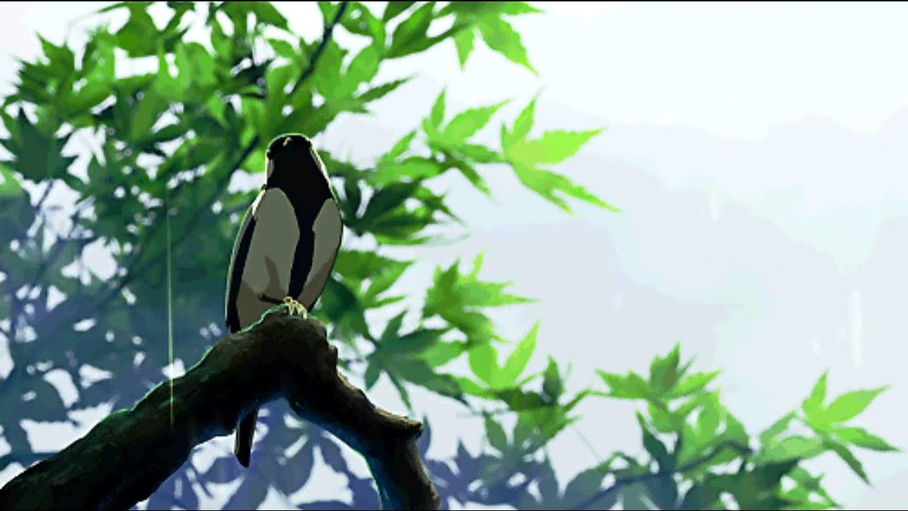 MR. FIB - Birds - YouTube