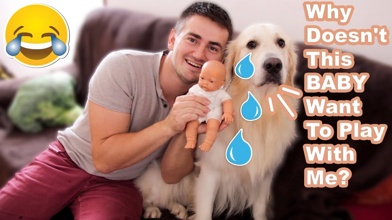 Funny Dog Reacts to a Fake Baby - YouTube