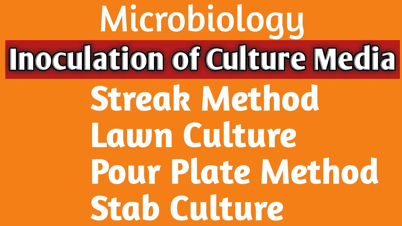 Inoculation of Culture Media,Streak method,lawn Culture,pour plate ...