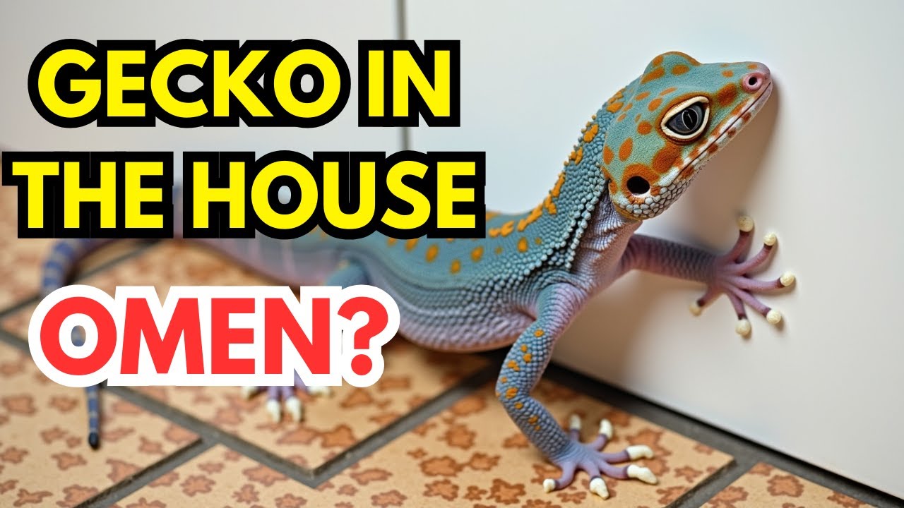 Geckos Suddenly Jump Into Your House – Is It A Bad Omen Or A Sign Of ...