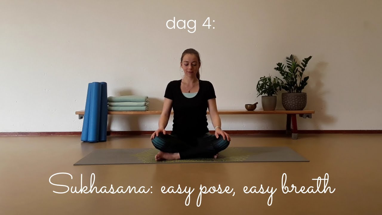 dag 4 Sukhasana: easy pose, easy breath - YouTube