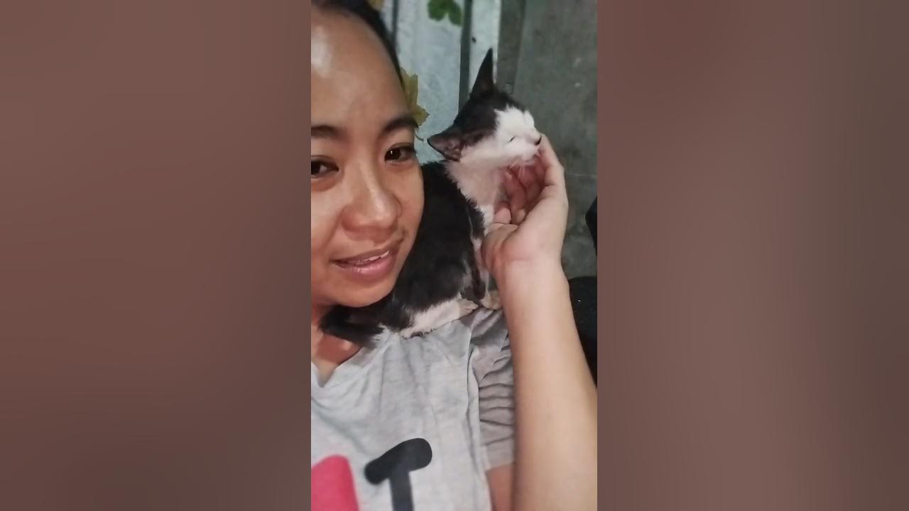 Rover being clingy - YouTube