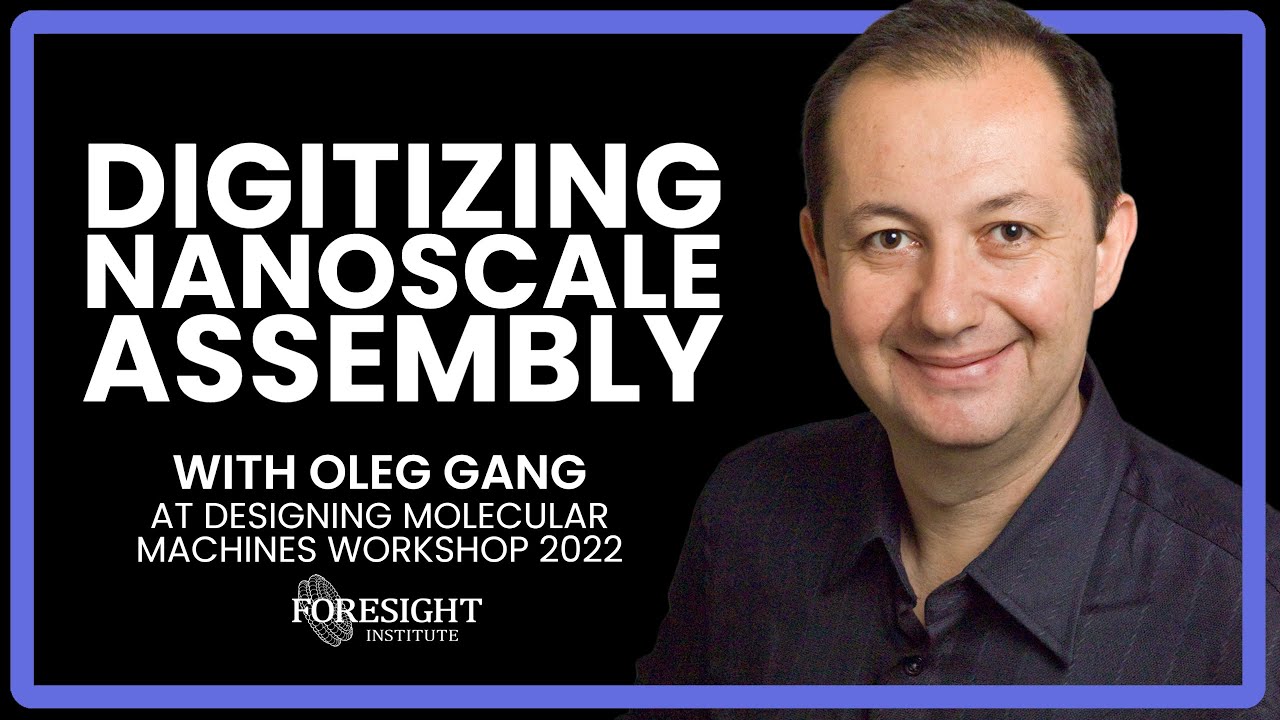 Oleg Gang, Columbia University | Digitizing Nanoschale Assembly - YouTube
