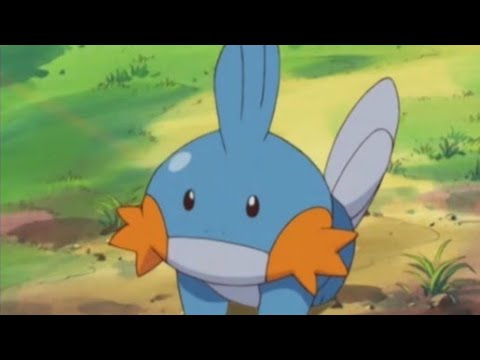 brock's mudkip all attacks & moves - YouTube