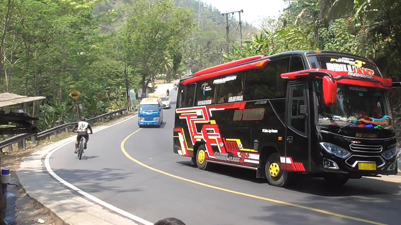 Perbedaan JB2, JB3, dan JB5 - Bis Apa Sih yang Kamu Pilih? #jb2 #jb3 # ...