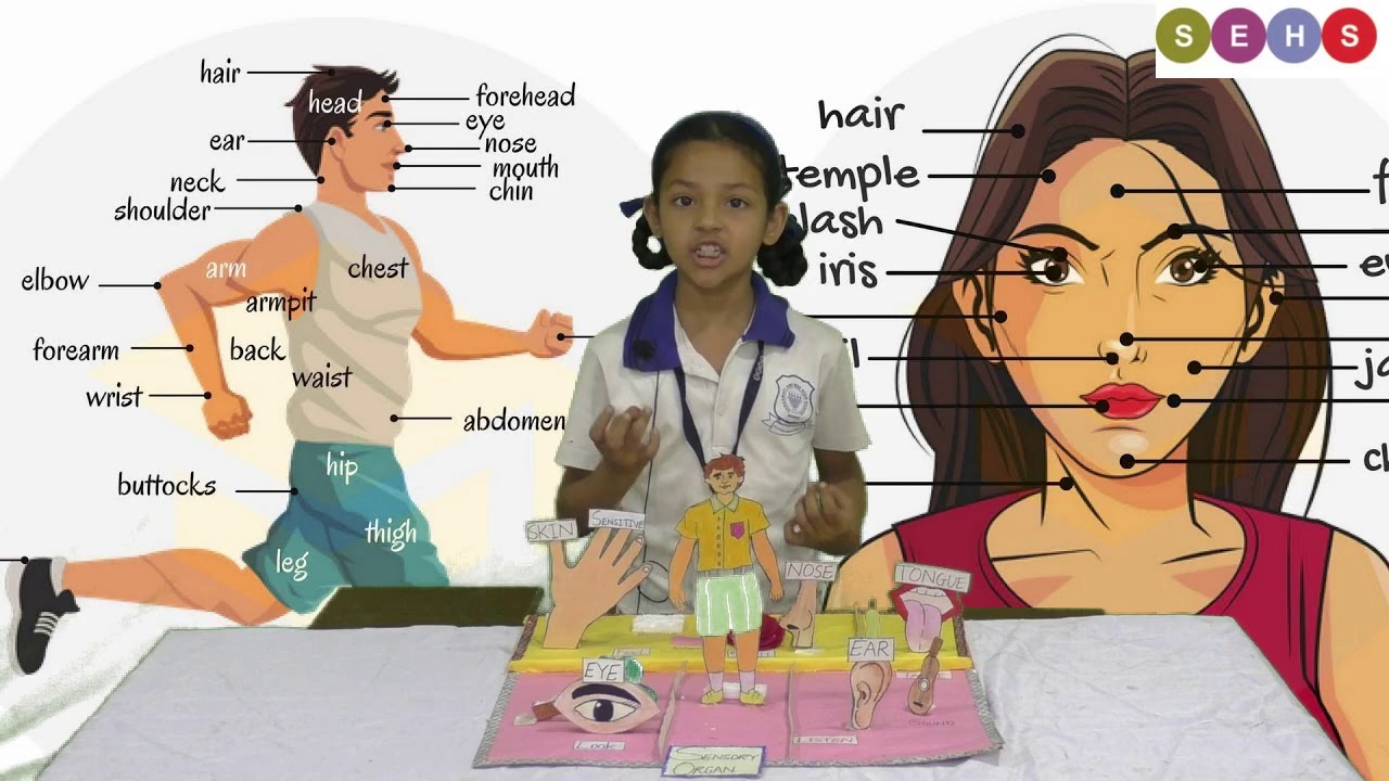 Science Exhibition - Parts of the body - YouTube