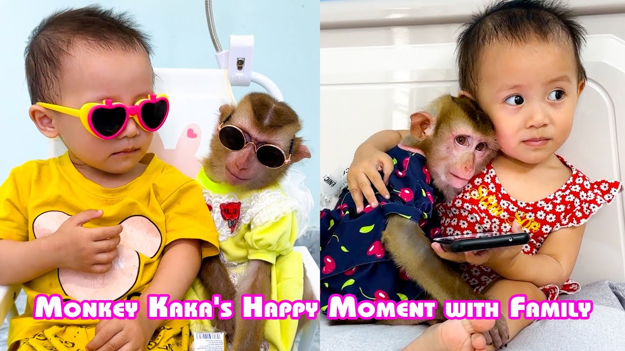 Watching Monkey Kaka's Happy Moment with Family Made Me Cry - YouTube