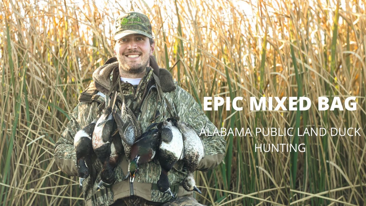 EPIC Mixed Bag | Alabama Public Land Duck Hunting - YouTube