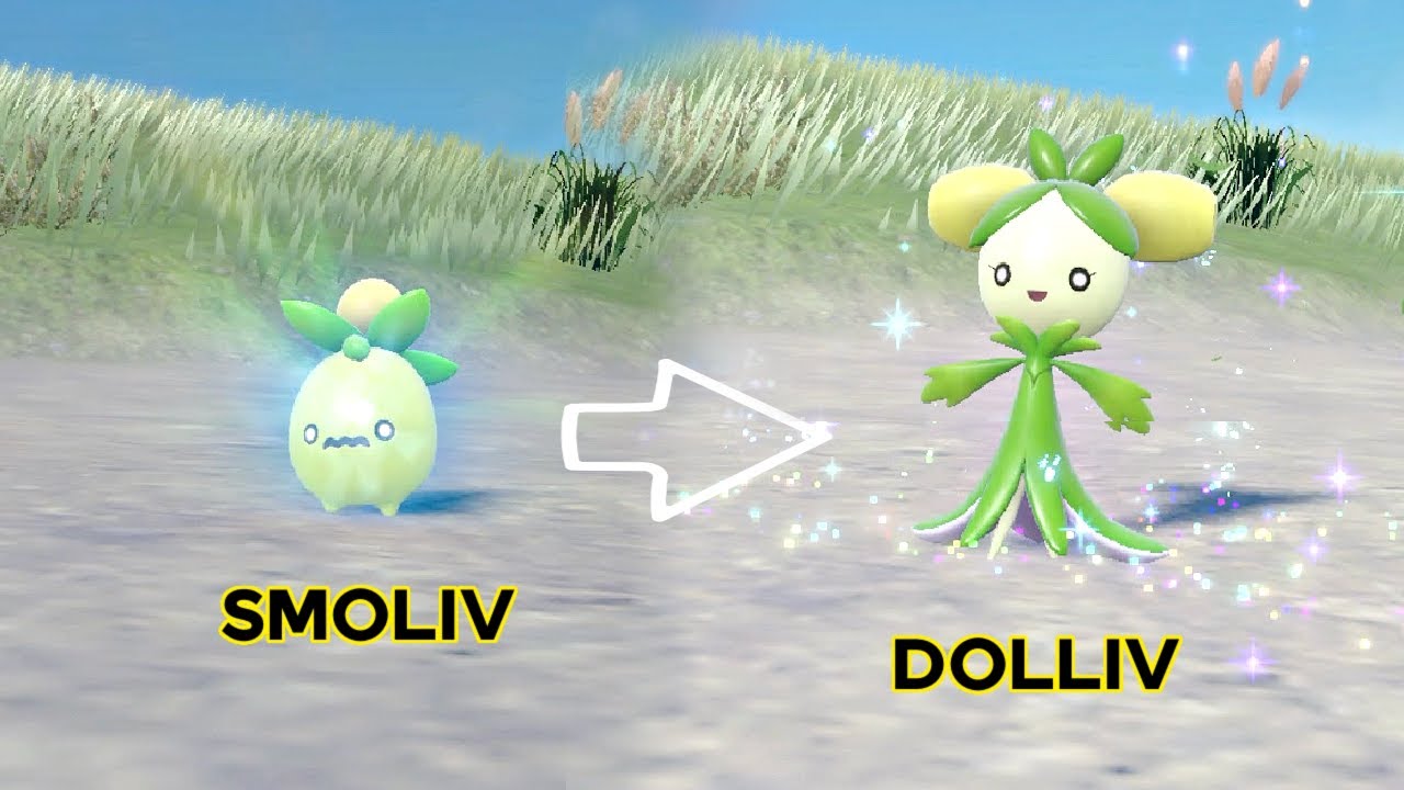 Smoliv Evolves To Dolliv Pokemon Evolution Youtube