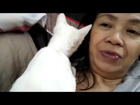 milkie makulit ng sawa ma nuob ng TV ako Naman Ang kinulit