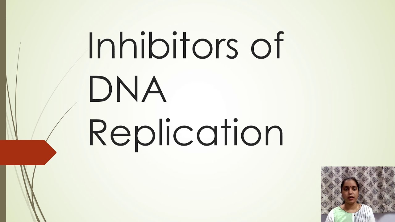 Inhibitors of DNA Replication(Eng) - YouTube