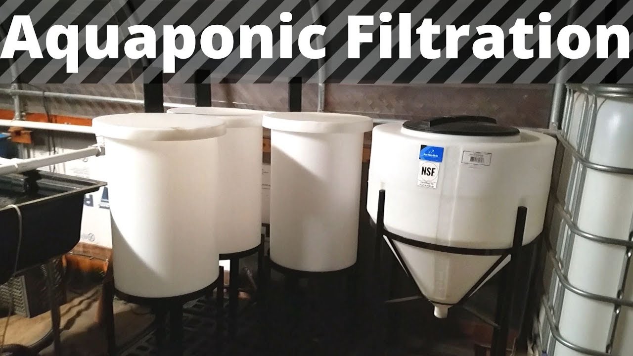 Nft Aquaponic Filtration