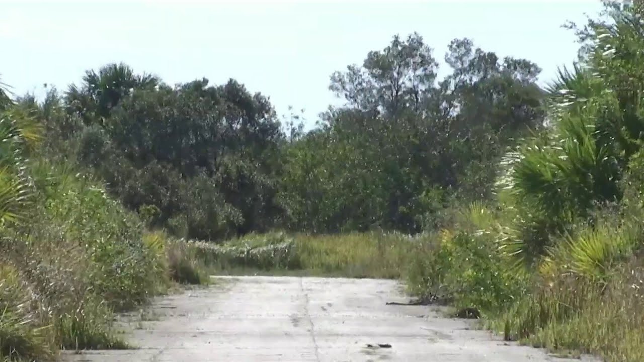 Workshop to address safety concerns at Palm Bay 'Compound' - YouTube