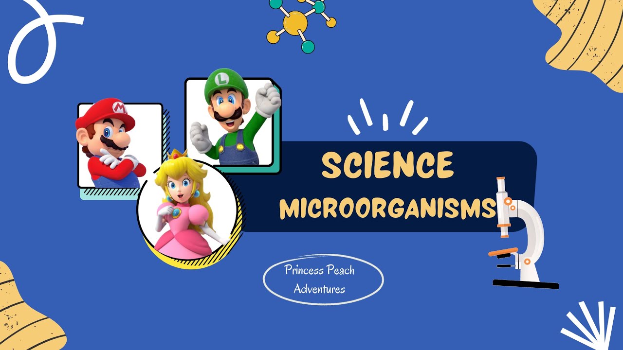 (Science) - All about Microorganisms! - YouTube