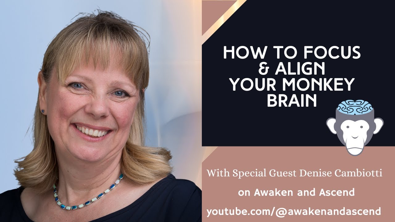 How to Focus & Align Your Monkey Brain🐵 - YouTube