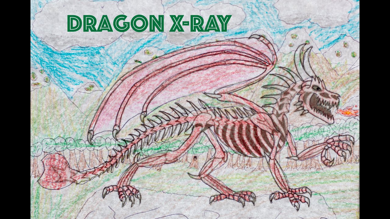 How to make an X Ray Dragon Picture - YouTube