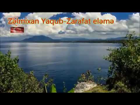 Zelimxan Yaqub