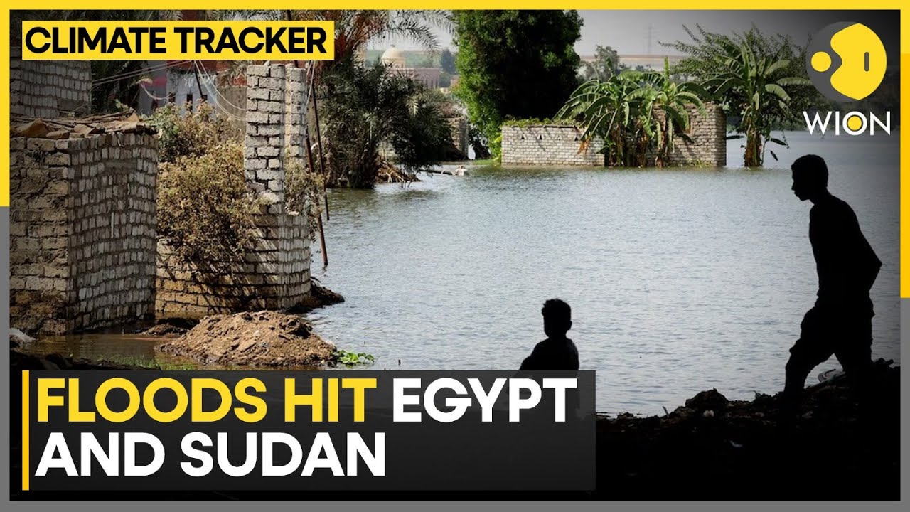 Rising Nile Waters Flood Egypt and Sudan, Reigniting Tensions Over ...