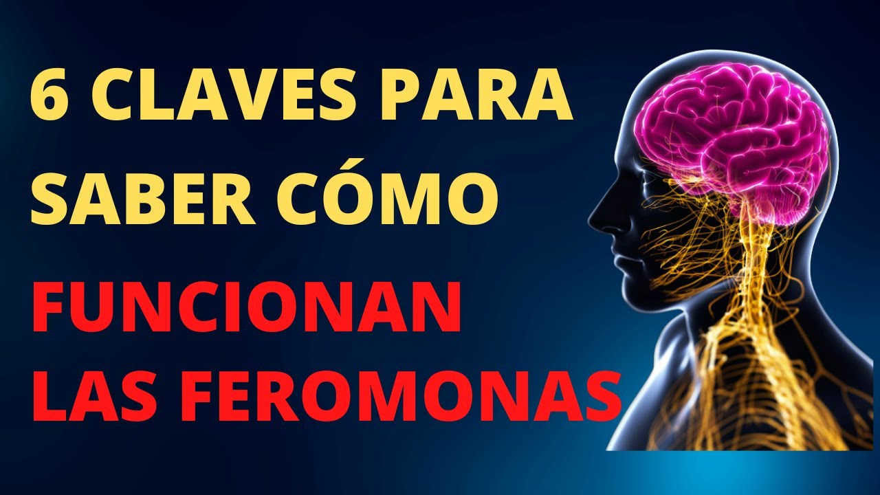 💥6 CLAVES PARA SABER COMO FUNCIONAN LAS FEROMONAS💓 - YouTube