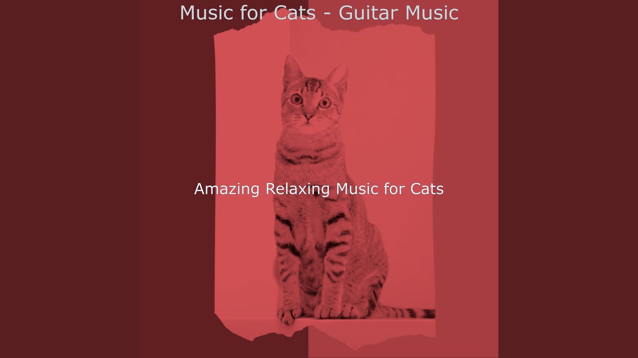 Sprightly Music for Cats - YouTube