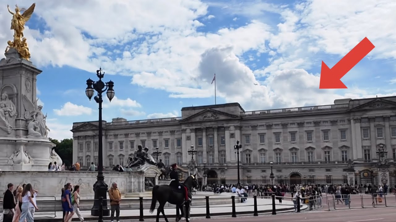 Rare Sighting!!! You Have Not Seen This Rare Sighting!!! - YouTube