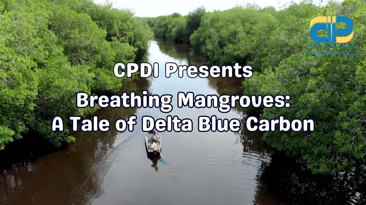 Breathing Mangroves: A Tale of Delta Blue Carbon- Documentary - YouTube
