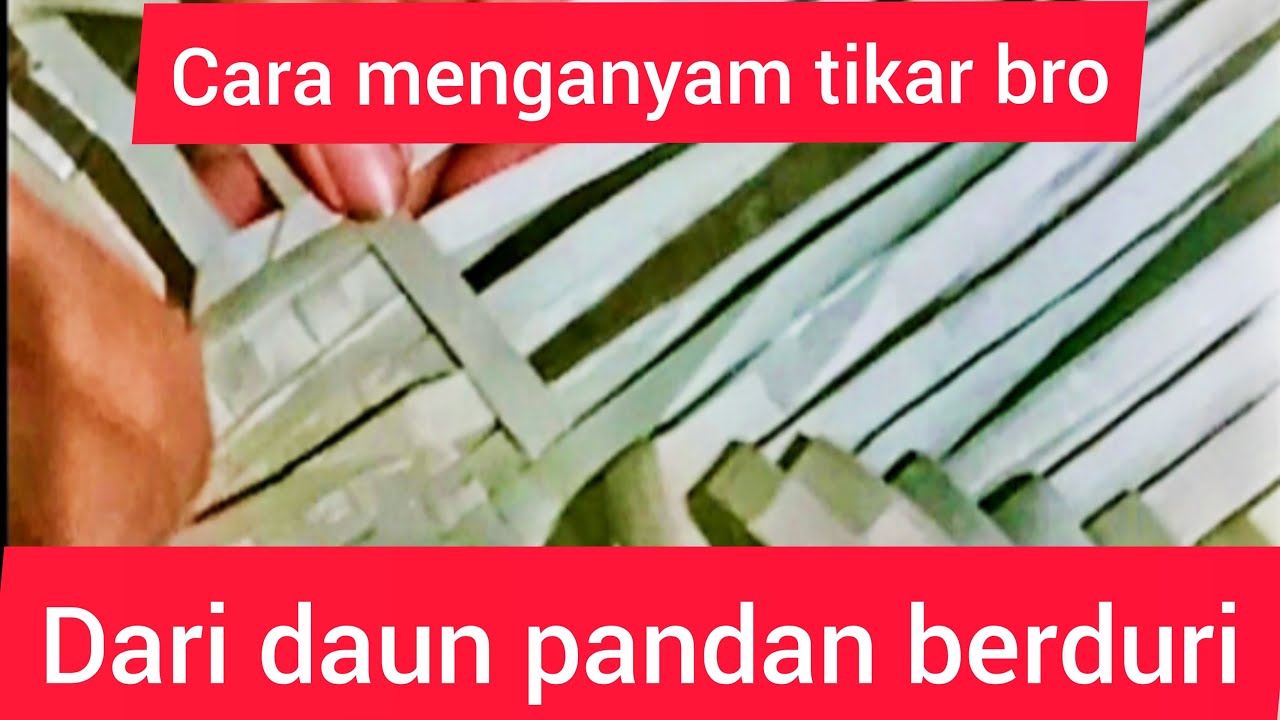 Cara buat anyaman tikar dari daun pandan berduri,https://youtu.be ...