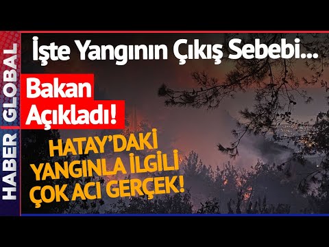 Hatay Alev Alev Yanıyor! Yangının Çıkış Sebebiyle İlgili Gerçeği Bakan Açıkladı!