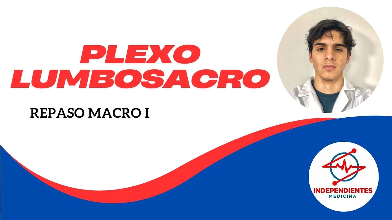 MACRO I (PLEXO LUMBOSACRO) - YouTube
