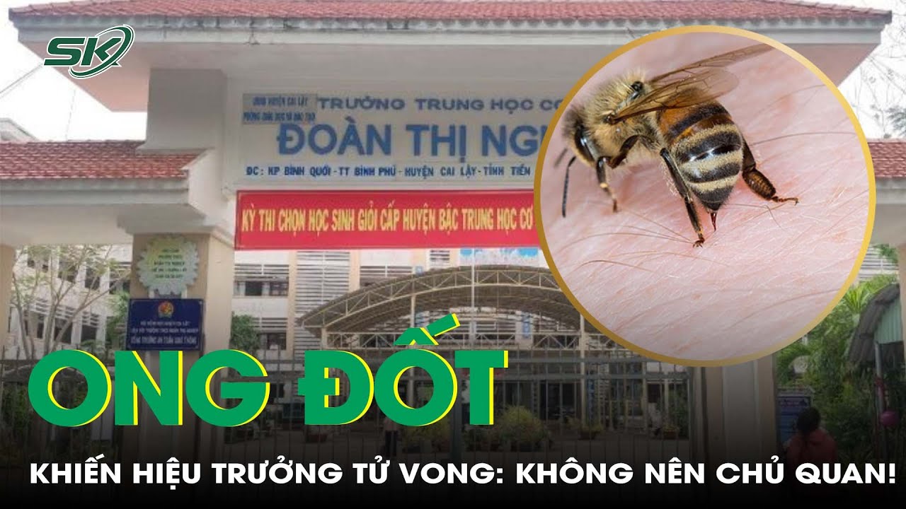 Hiệu trưởng trường cấp 2 t.ử v.ong do ong đốt: tuyệt đối không chủ quan ...