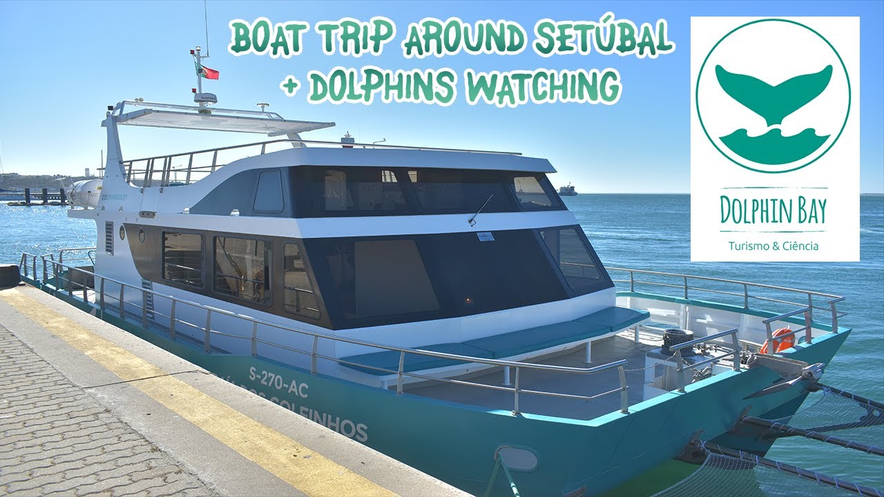 Dolphin Bay PT - Boat Trip and Dolphin Watching (Long Version) - YouTube