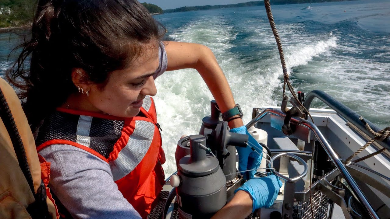 Using eDNA with traditional survey methods to understand Atlantic ...