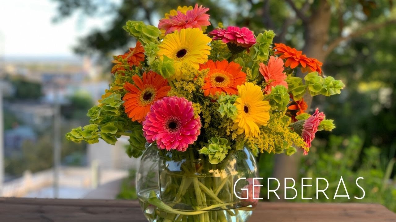 En Vivo con Ana Galena arreglo de flores con gerberas en pecera sin ...