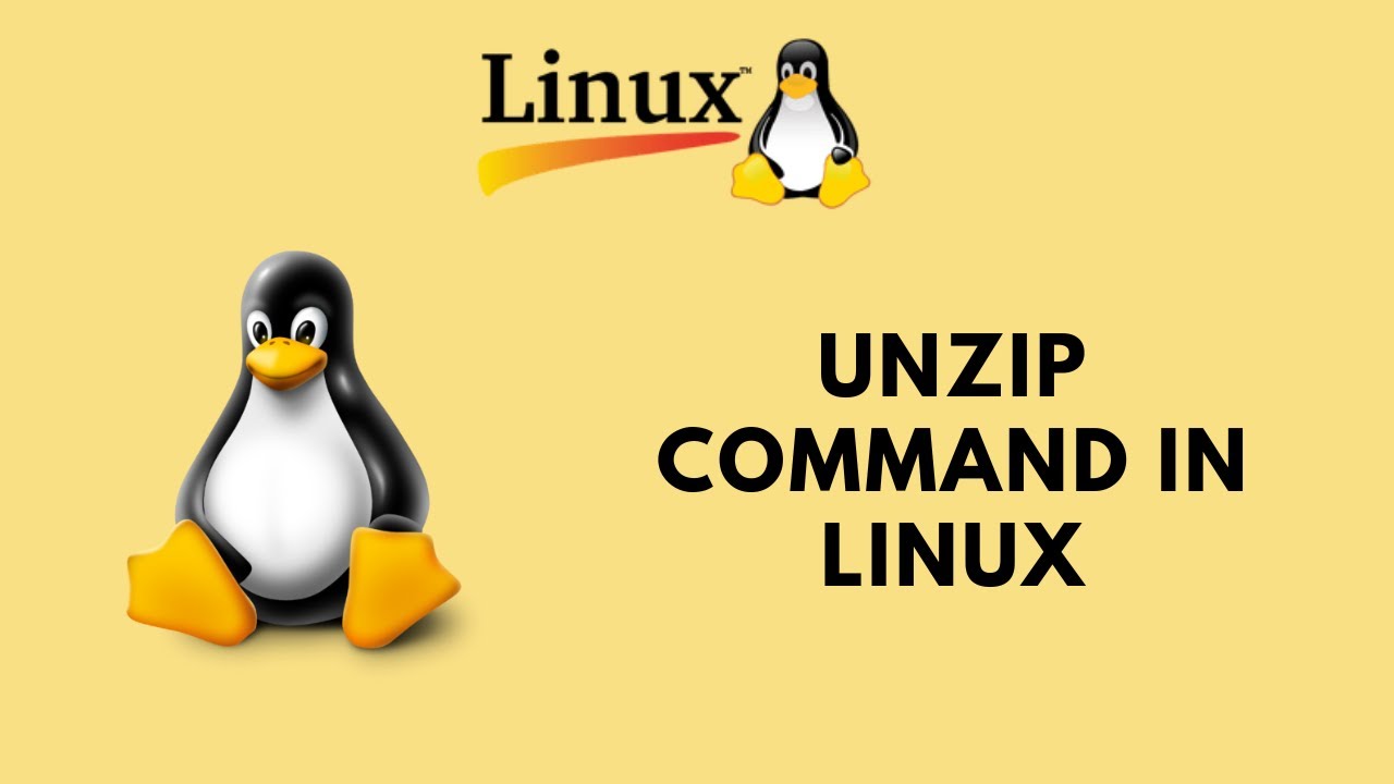 Linux Command Line Basics Tutorials Unzip Command In Linux YouTube linux-command-line-basics-tutorials-unzip-command-in-linux-youtube