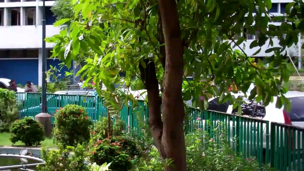 Shastri Bhavan, Nungambakkam, Chennai, India - YouTube
