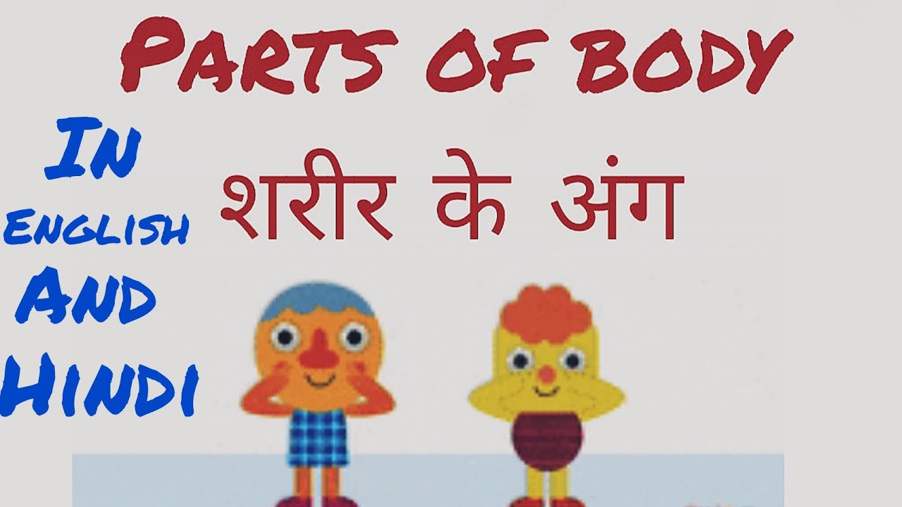 Parts Of Body In English And Hindi DeekshaLearningPoint parts-of-body-in-english-and-hindi-deekshalearningpoint