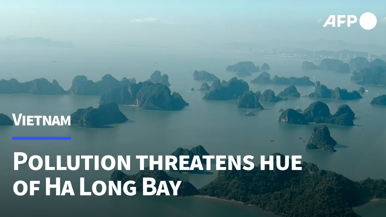 Pollution threatens turquoise hue of Vietnam's Ha Long Bay | AFP - YouTube