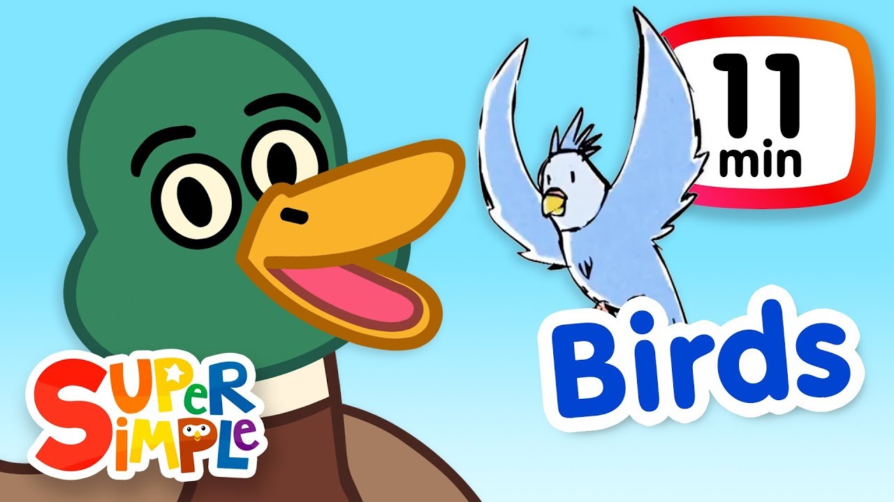 The Super Simple Show - Birds | Cartoons For Kids - YouTube