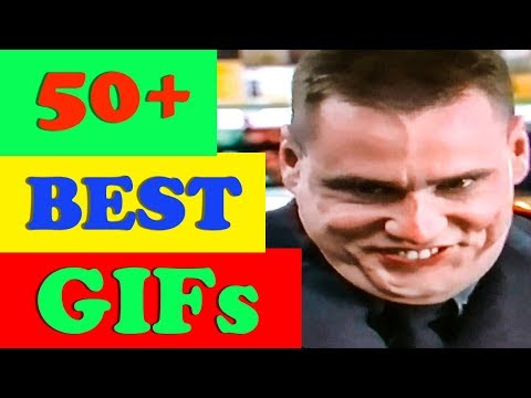 50+ BEST GIFs !  - AMUSING / FUNNY   * YOU WILL LAUGH *