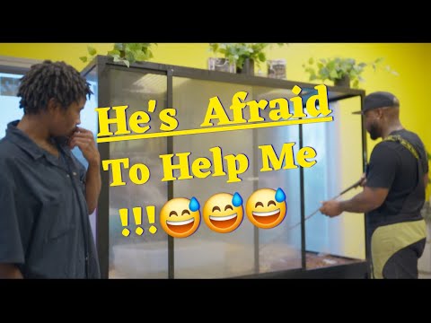 Cage Cleaning Day For My Two Burmese Pythons - YouTube