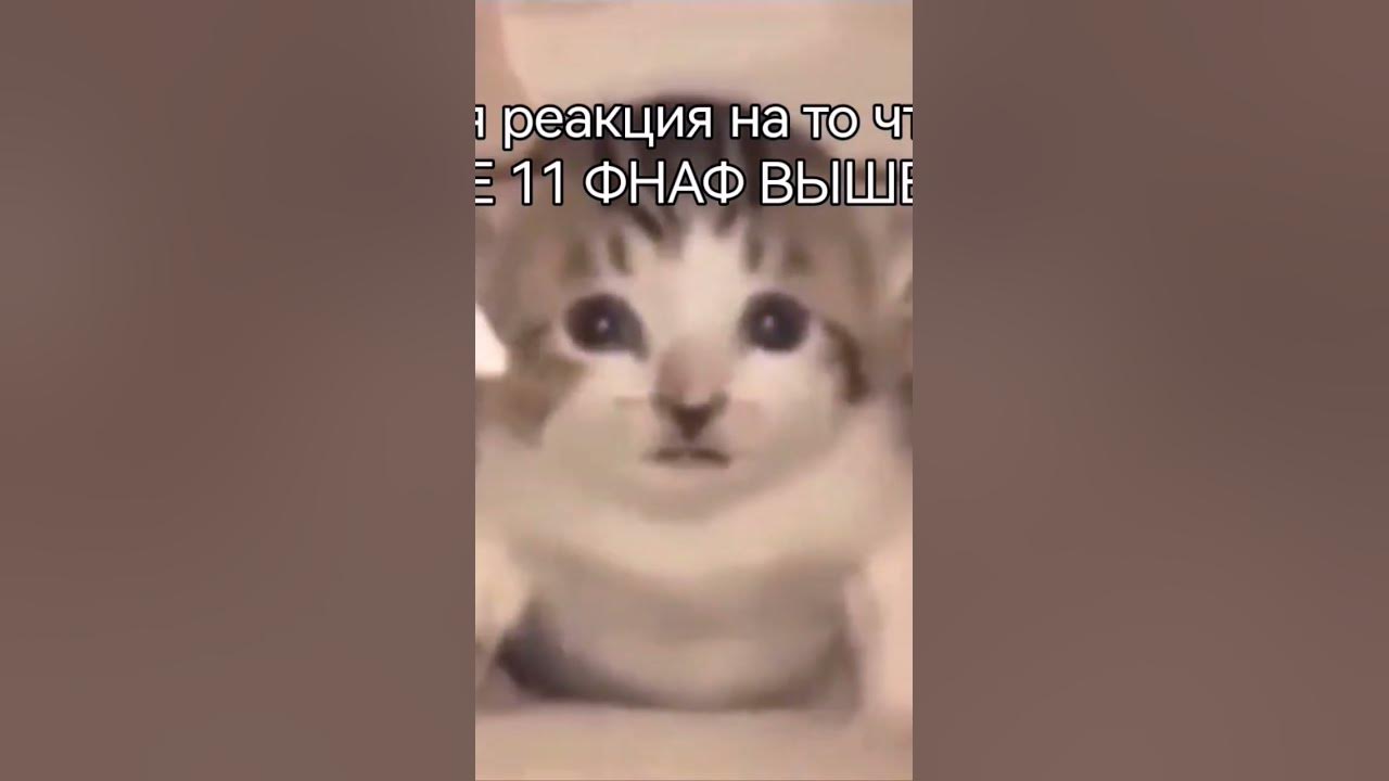 юьуб съел описание и качество - YouTube
