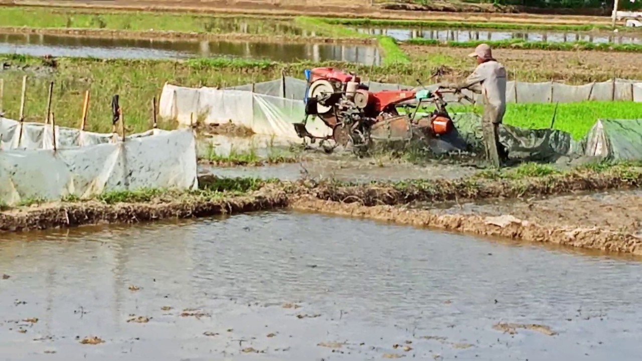Traktor Quick Bajak Sawah - YouTube